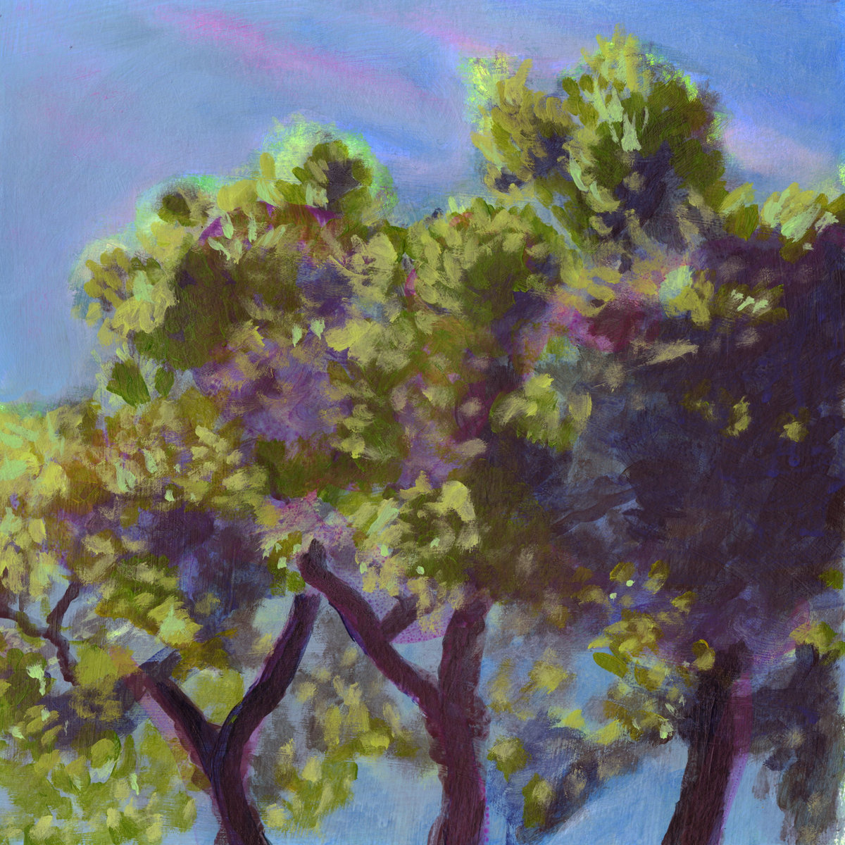 Interview with Matthew J. Rolin, Eli Winter and Joseph Allred – Record ...