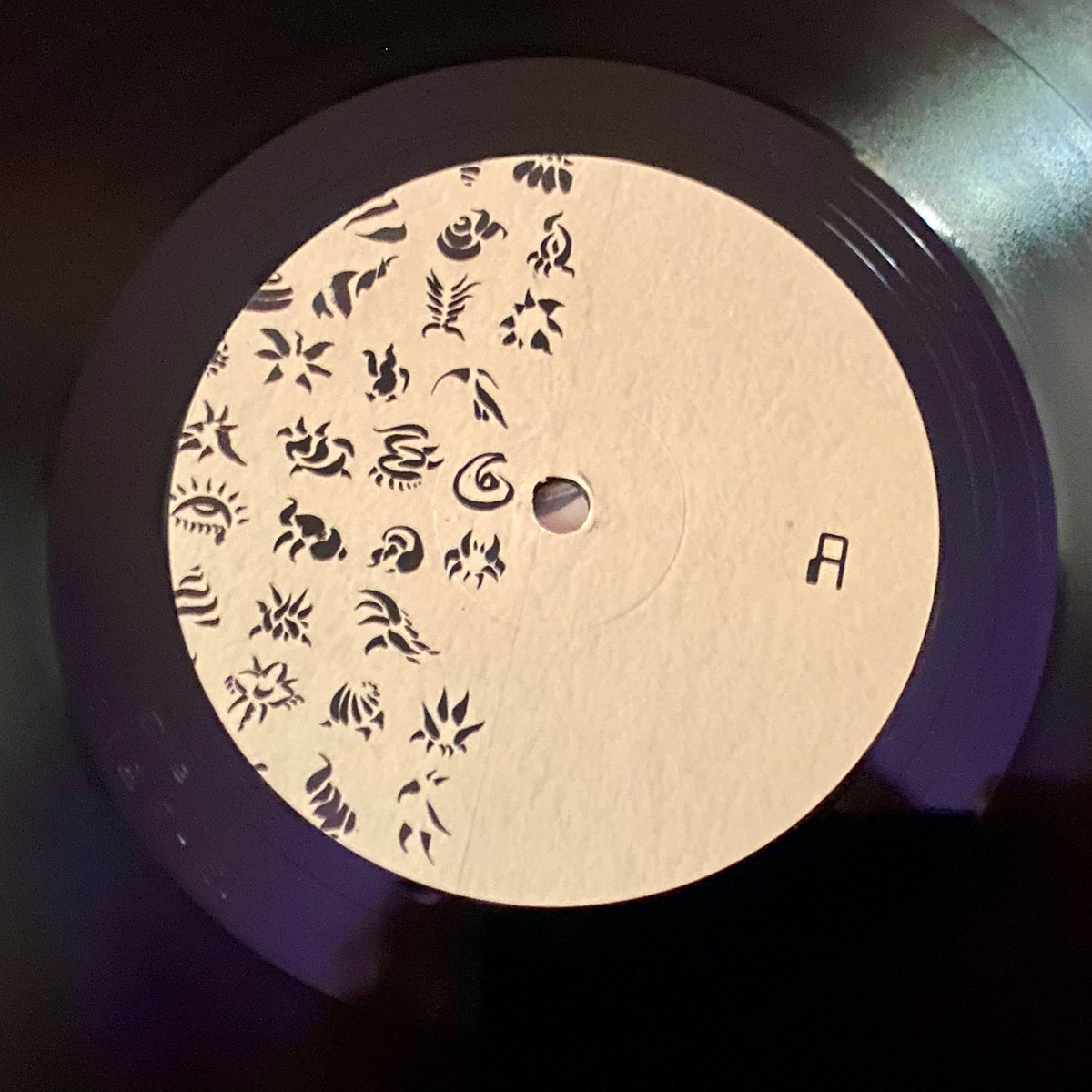 A Herd of Elkhorn: Jesse Sheppard and Drew Gardner Break Down their ...