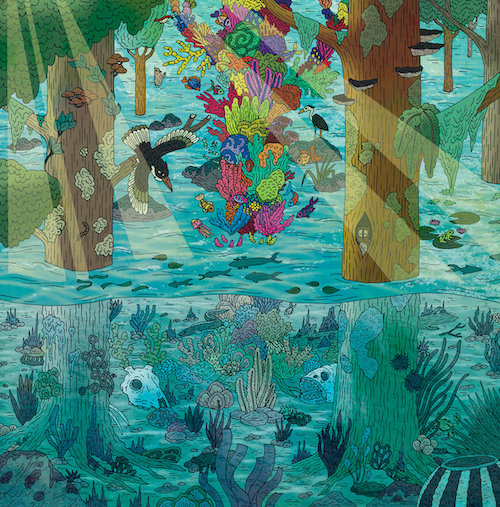 A Herd of Elkhorn: Jesse Sheppard and Drew Gardner Break Down their ...